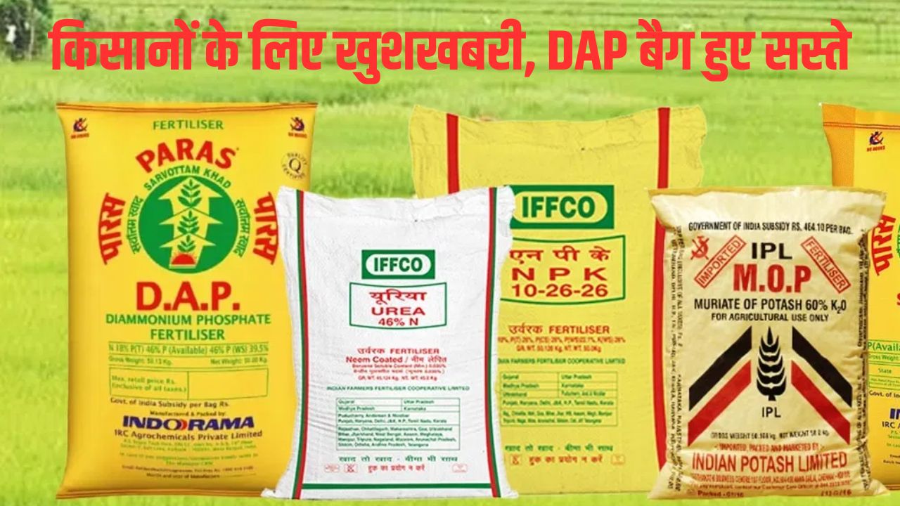 DAP Khad Rate Update: DAP की बोरिया हो गयी सस्ती, इस भाव में बिकेगी DAP ...